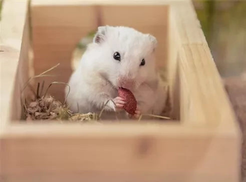 Das Team hinter Zoo Burkart